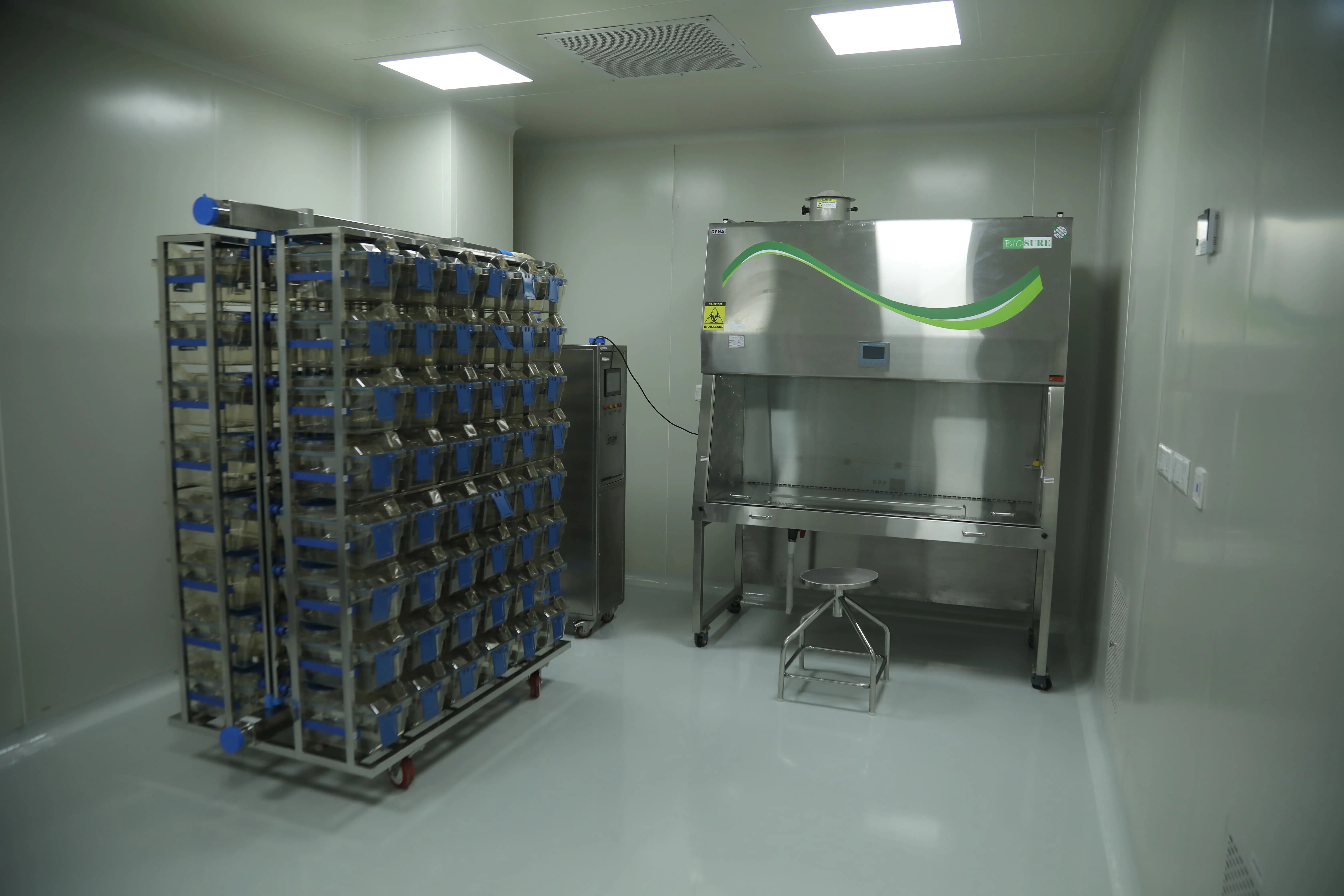 Gallary | Ribosome research